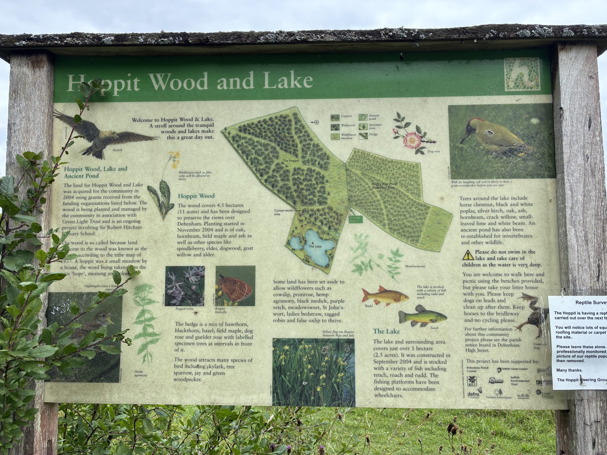 Two Debenham Walks | River Deben Association