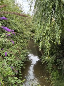 Two Debenham Walks | River Deben Association